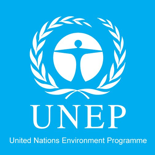 UNEP - Endeva